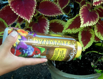 Dynamite Organic All-Purpose Plant Food - 5 LB - - Fertilizers - All ...